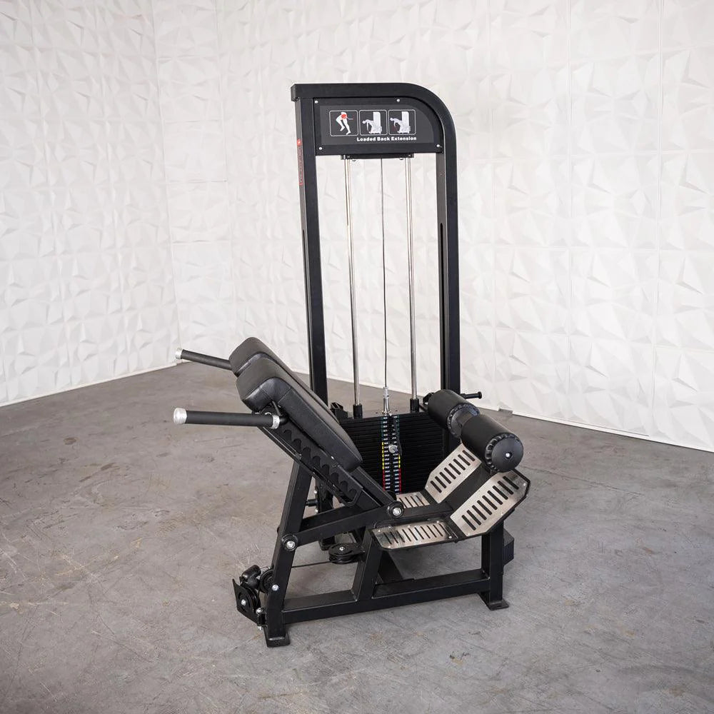 Excel Loaded Back Extension - Muscle D Fitness - Selectorized 45 Degre ...
